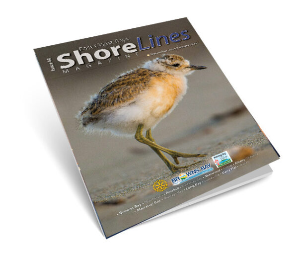 Shorelines Magazine – The local magazine of Browns Bay, North Shore ...