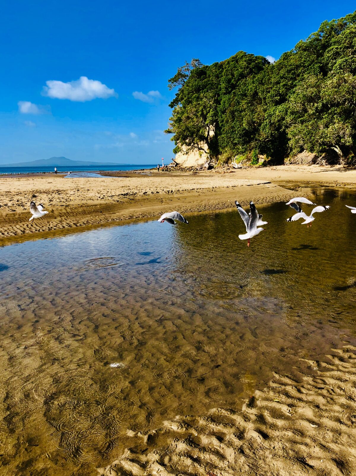 Nurturing future generations of environmental guardians – Shorelines ...